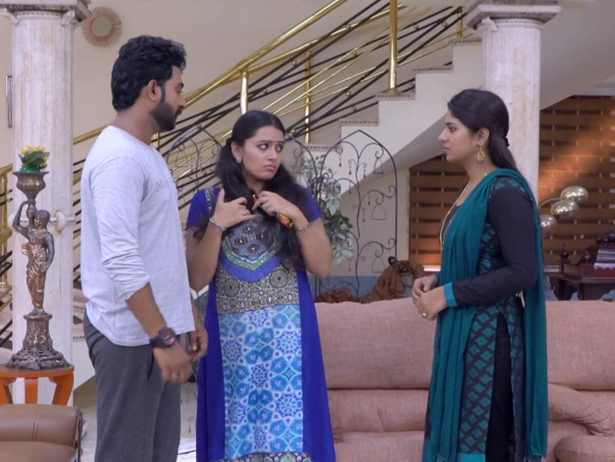 malayalam serial: Seetha Kalyanam written update, April 8, 2019: Swathy ...