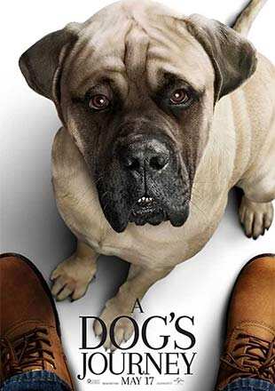 A Dog's Journey Movie: Showtimes, Review, Songs, Trailer, Posters, News ...