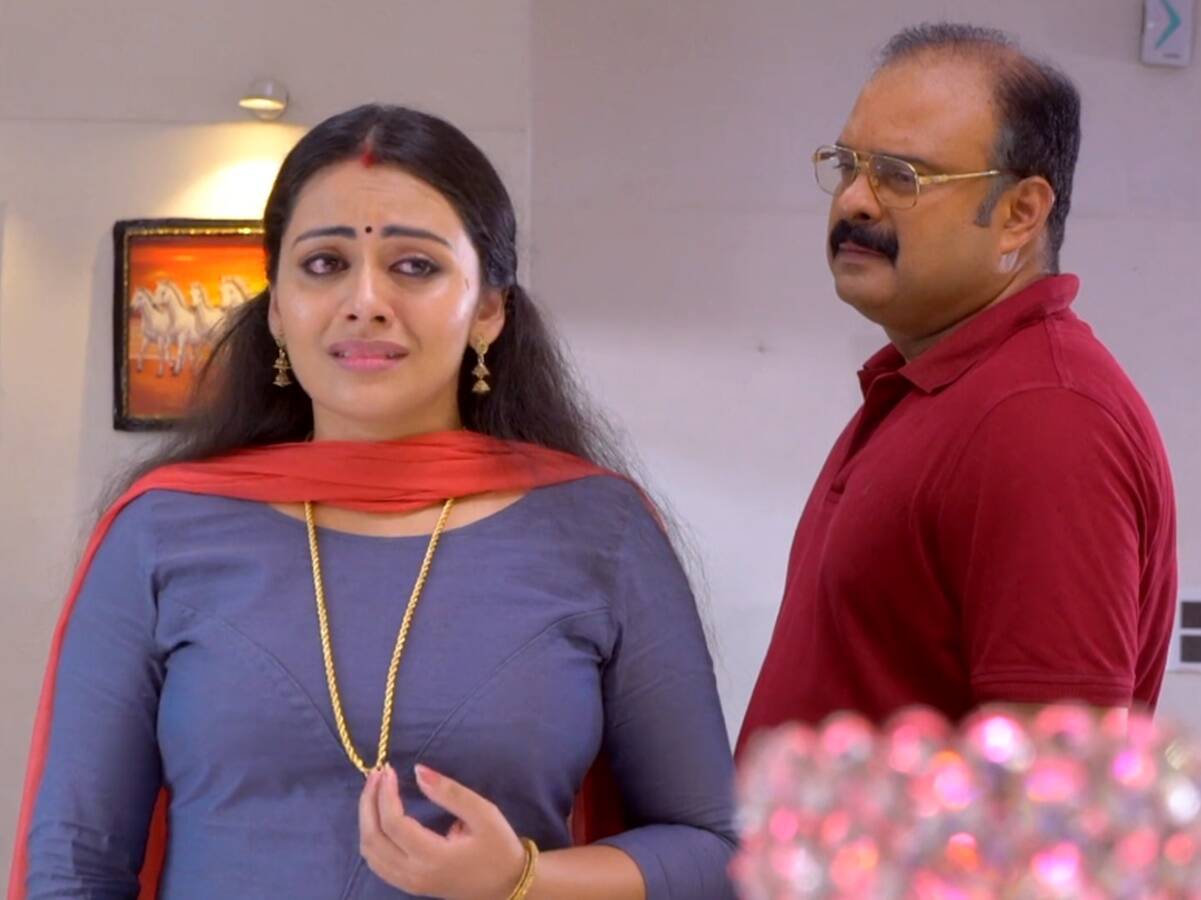 malayalam serial: Seetha Kalyanam written update, May 20, 2019: Seetha ...