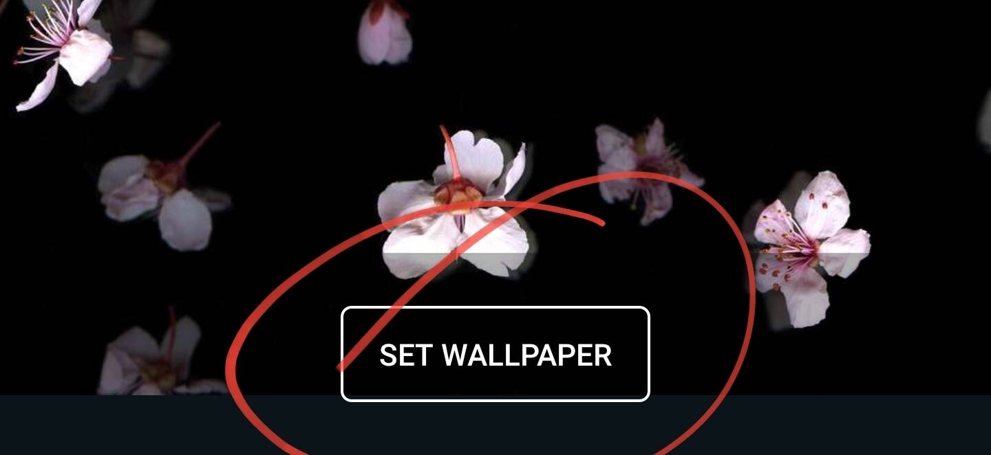 Whatsapp Custom Chat Wallpaper: How to set custom chat wallpapers in ...