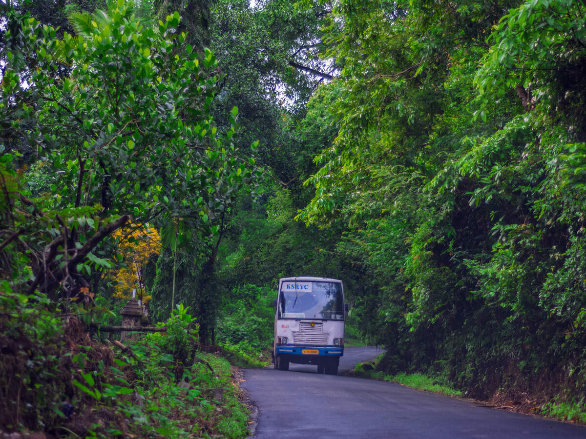 India's most scenic bus journeys | Times of India Travel