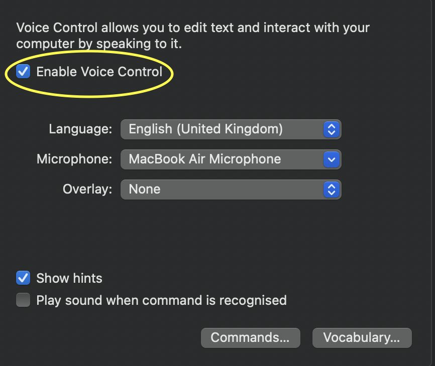 How To Use Voice To Text On Macbook Kasapia