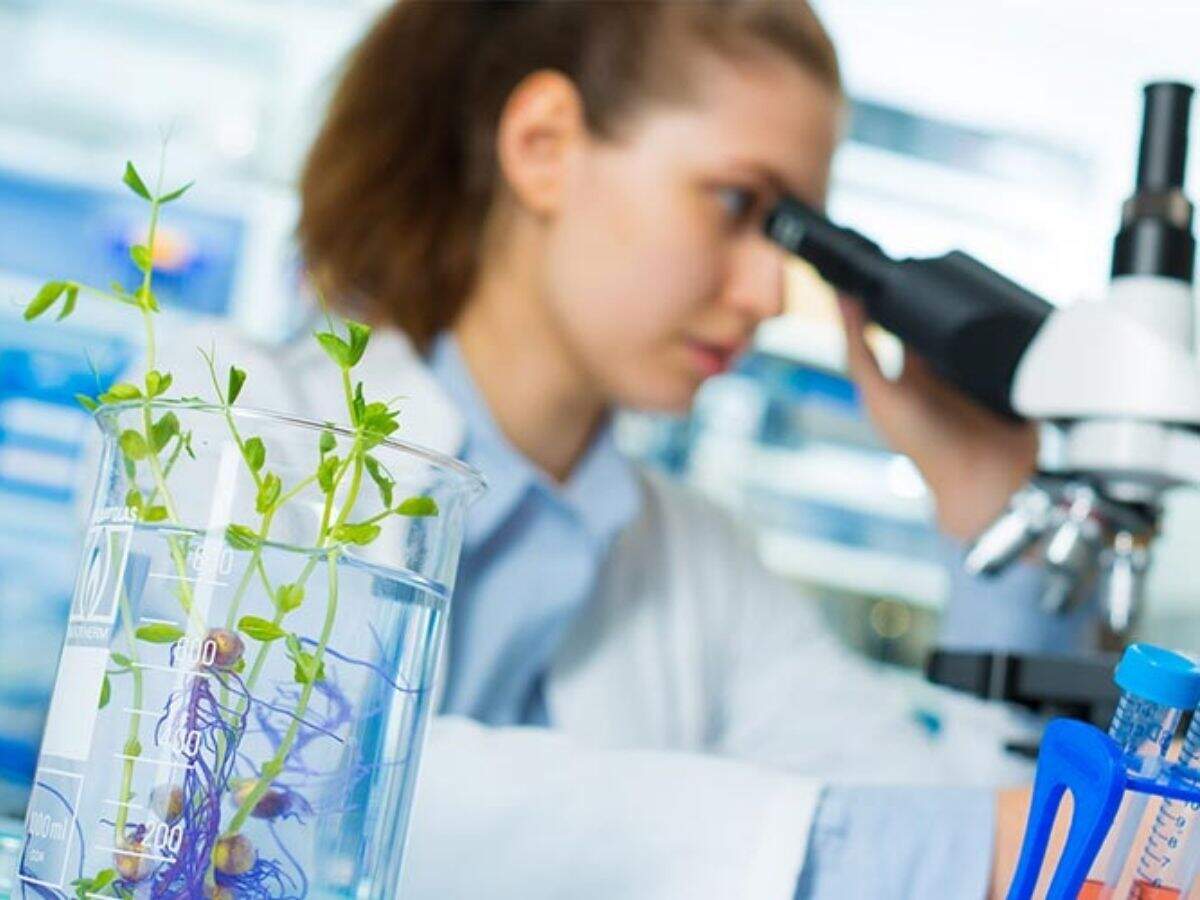 Belagavi: ICMR-NITM developing herbal solution for Covid-19 | Hubballi ...