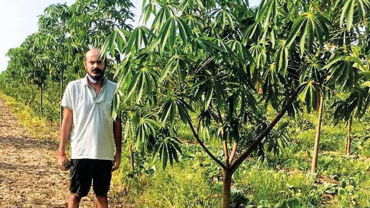 Almond Farmer | atelier-yuwa.ciao.jp