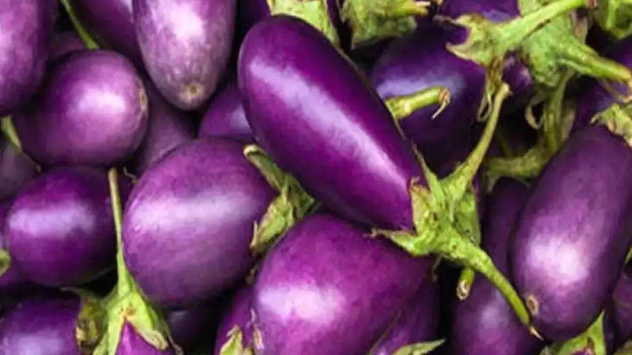 Brinjal Images