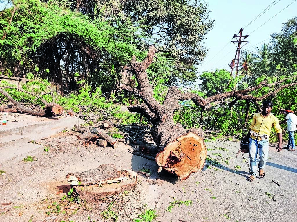 Garkheda, Aurangabad: Map, Property Rates, Projects, Photos, Reviews, Info