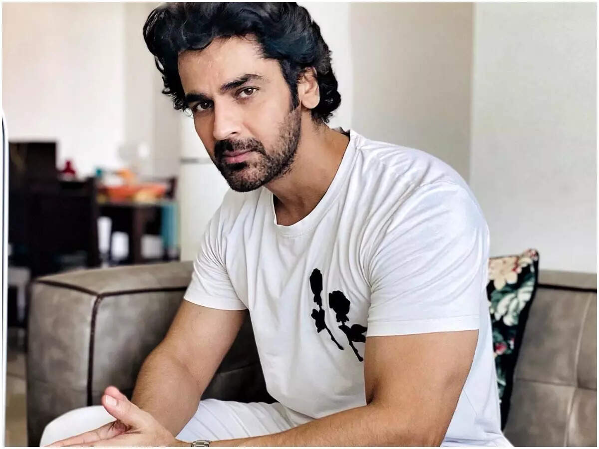 Arjan Bajwa Telugu Movies