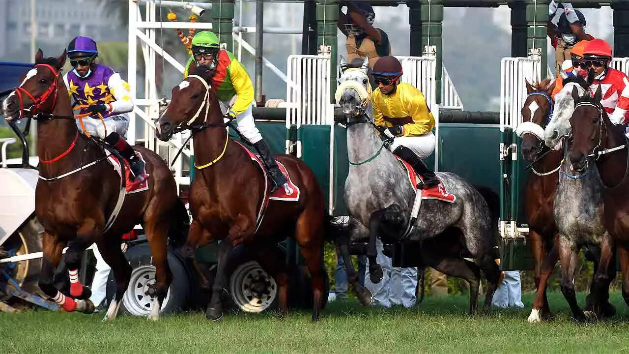 Mumbai Races: Presidential for feature | More sports News - Times of India