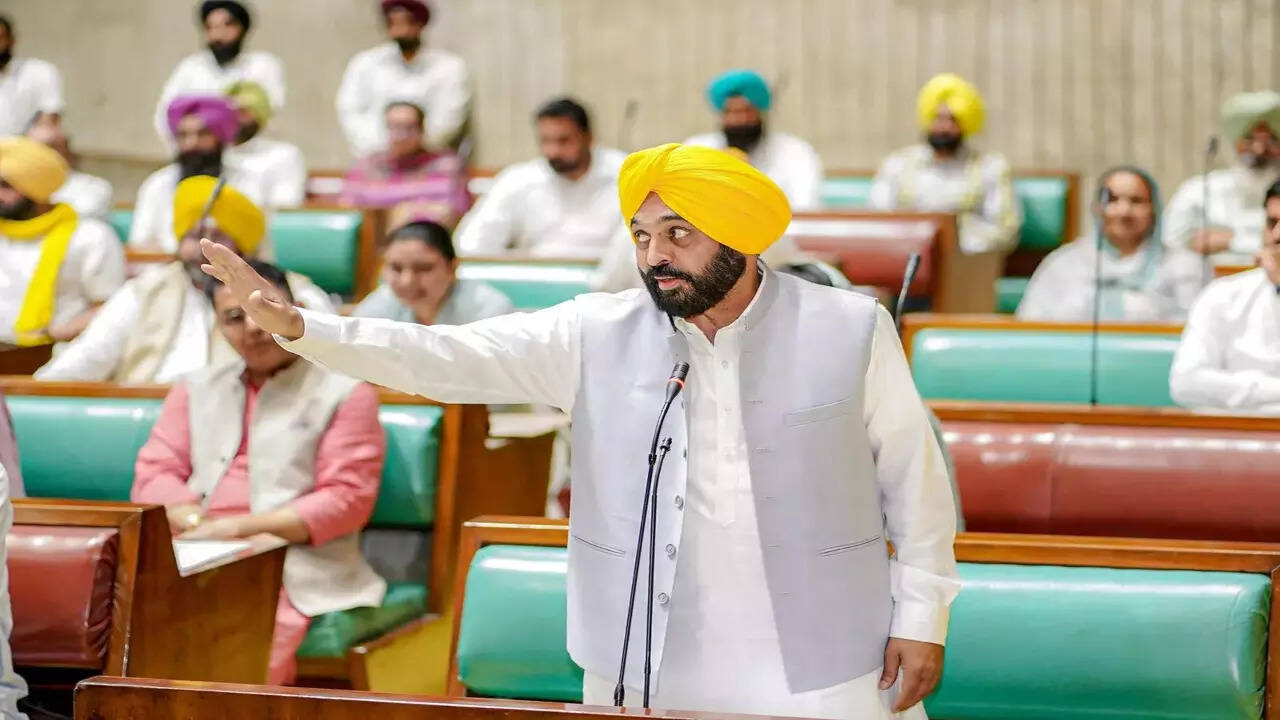 Anti-gangster task force to come up in Punjab | India News - Times of India
