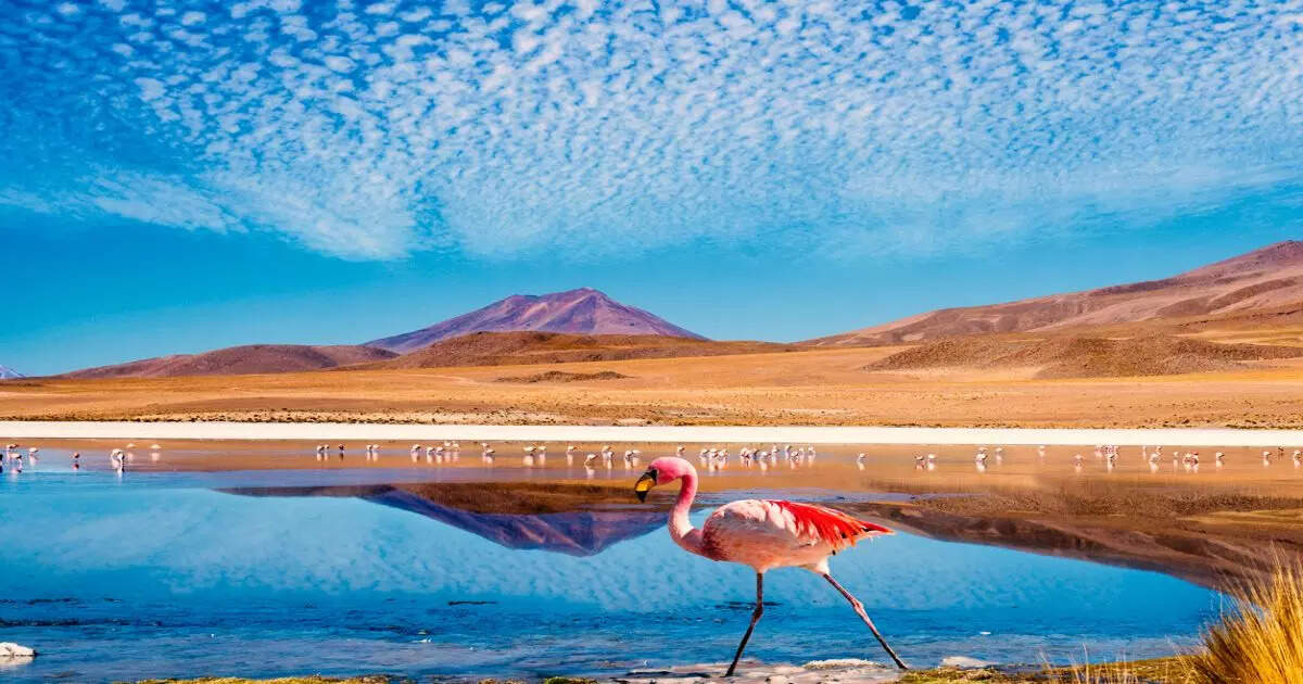 World’s most unique attractions that will leave you awestruck! | Times ...