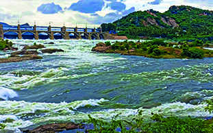 Neelambur, Coimbatore: Map, Property Rates, Projects, Photos, Reviews, Info