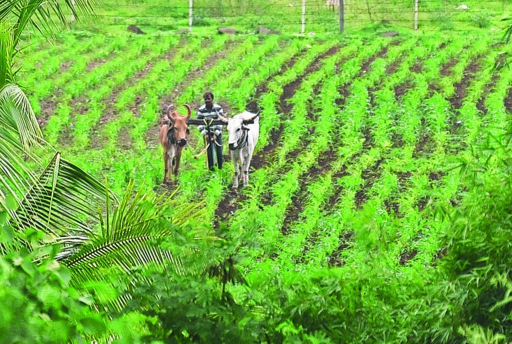 Phulambri, Aurangabad: Map, Property Rates, Projects, Photos, Reviews, Info