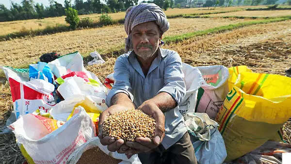 Sector 4, Rewari: Map, Property Rates, Projects, Photos, Reviews, Info