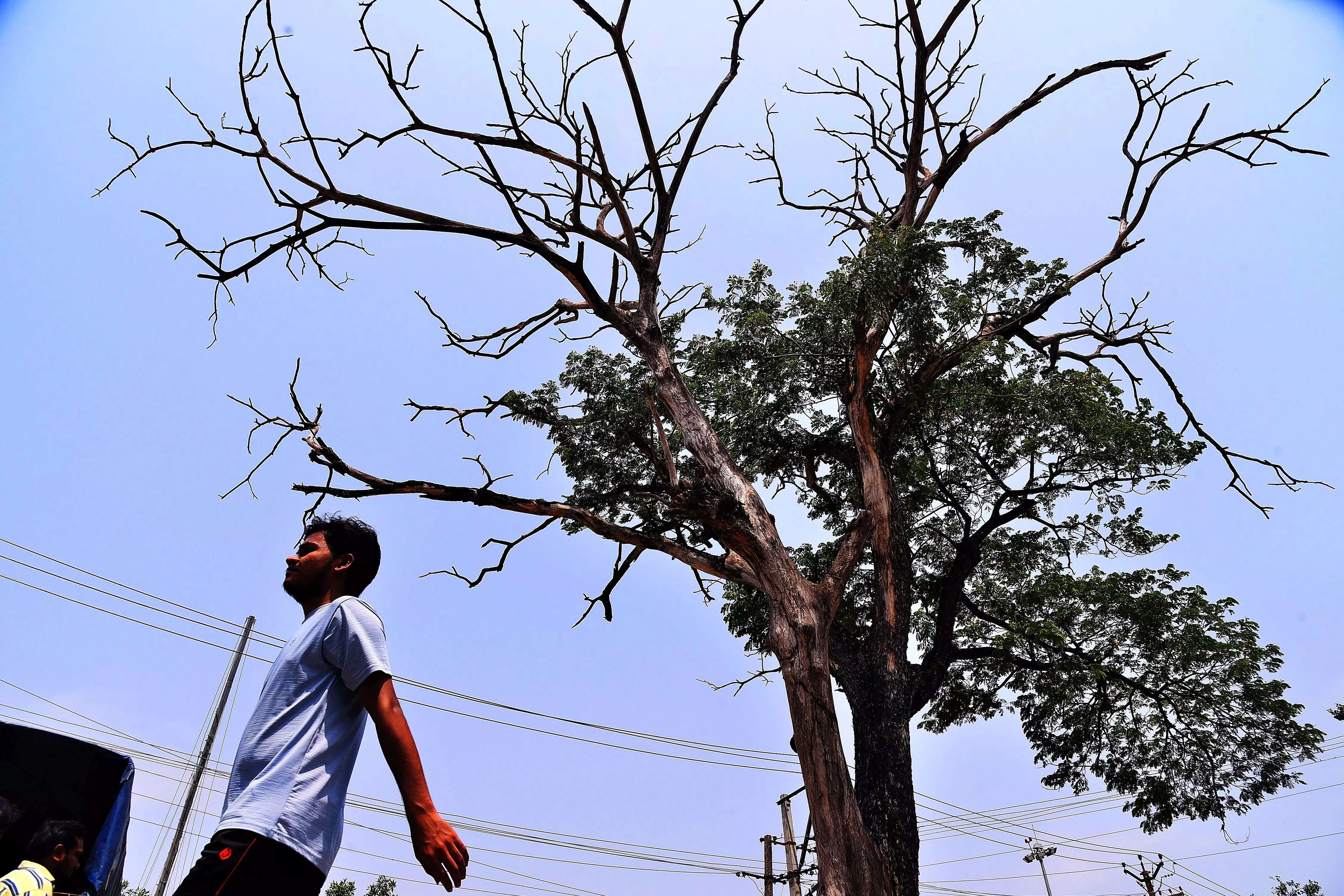 LIC Colony, Vijayawada: Map, Property Rates, Projects, Photos, Reviews ...