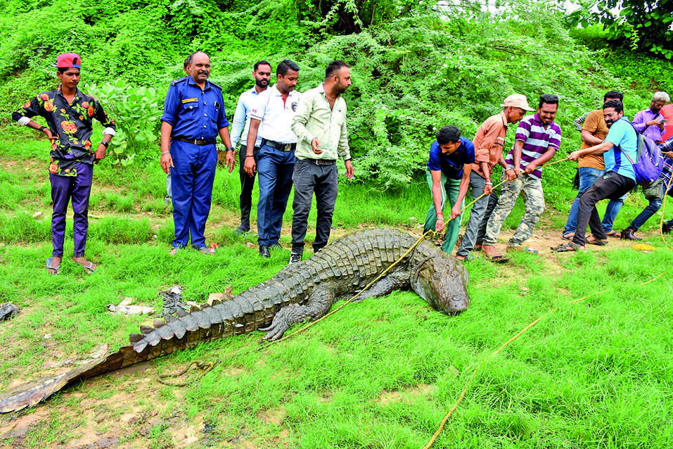 Maneja, Vadodara: Map, Property Rates, Projects, Photos, Reviews, Info