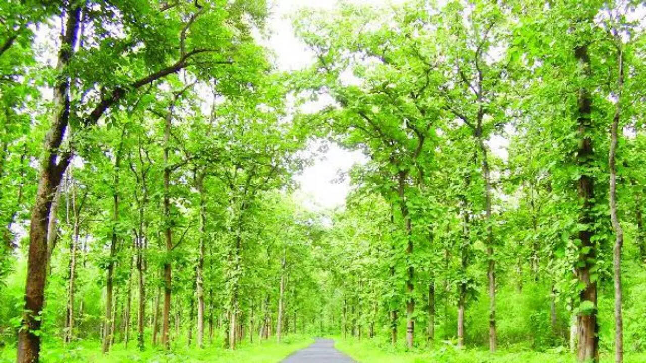Pirda, Raipur: Map, Property Rates, Projects, Photos, Reviews, Info