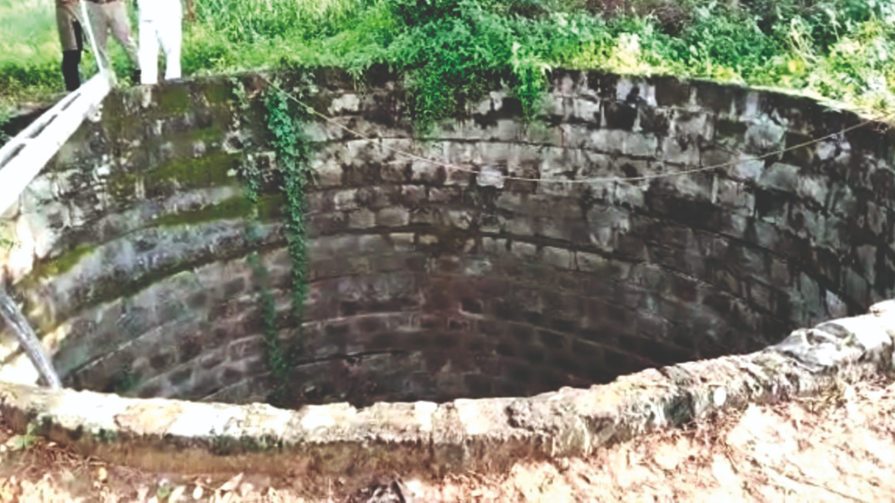 Chharodi, Ahmedabad: Map, Property Rates, Projects, Photos, Reviews, Info