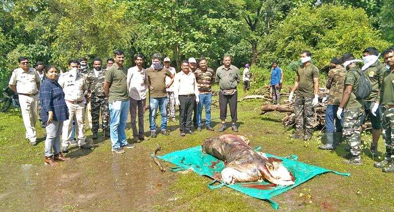 Golibar Chowk, Nagpur: Map, Property Rates, Projects, Photos, Reviews, Info