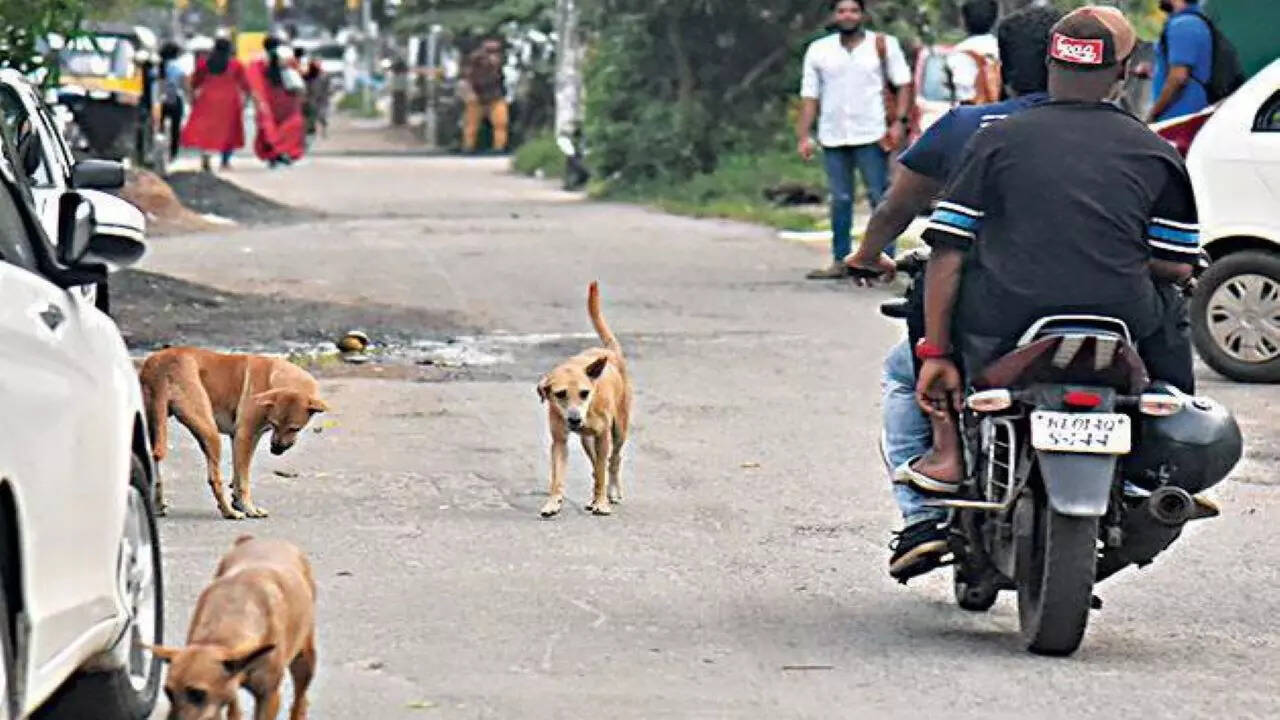 Pallimukku, Trivandrum: Map, Property Rates, Projects, Photos, Reviews ...