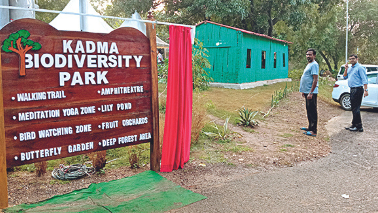 Padma Road, Jamshedpur: Map, Property Rates, Projects, Photos, Reviews ...