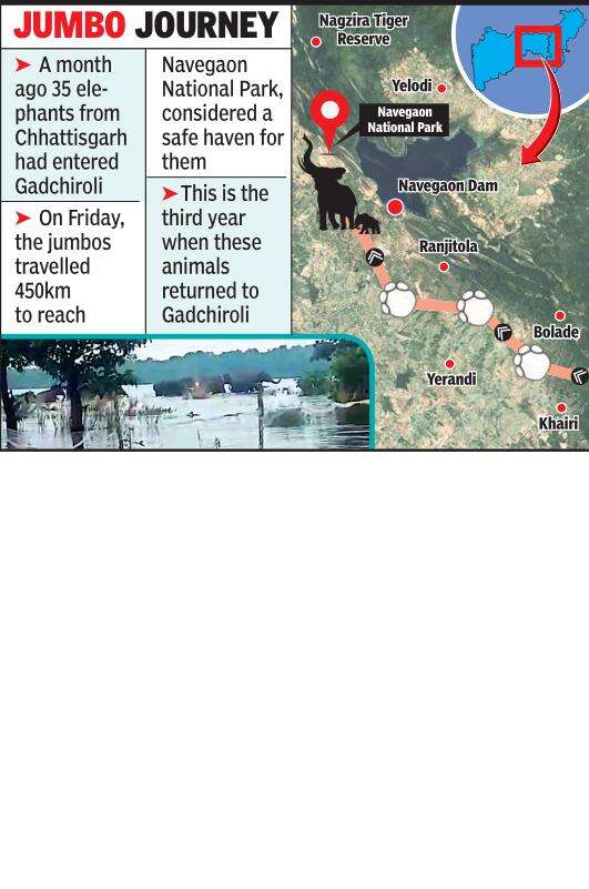 Koradi, Nagpur: Map, Property Rates, Projects, Photos, Reviews, Info