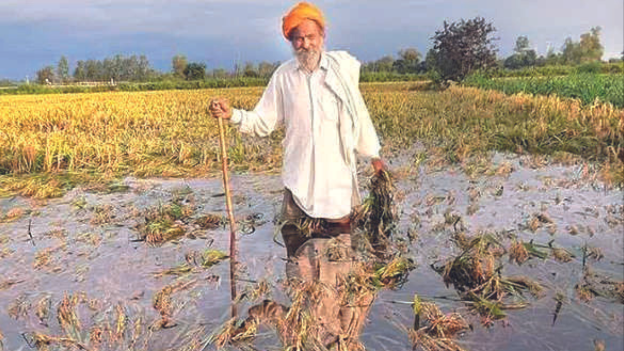 Badrish Vihar, Dehradun: Map, Property Rates, Projects, Photos, Reviews ...