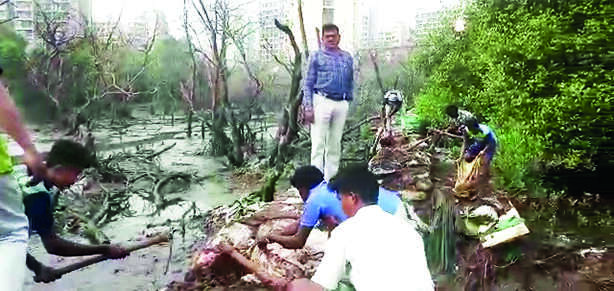 CBD Belapur, Navi Mumbai: Map, Property Rates, Projects, Photos ...