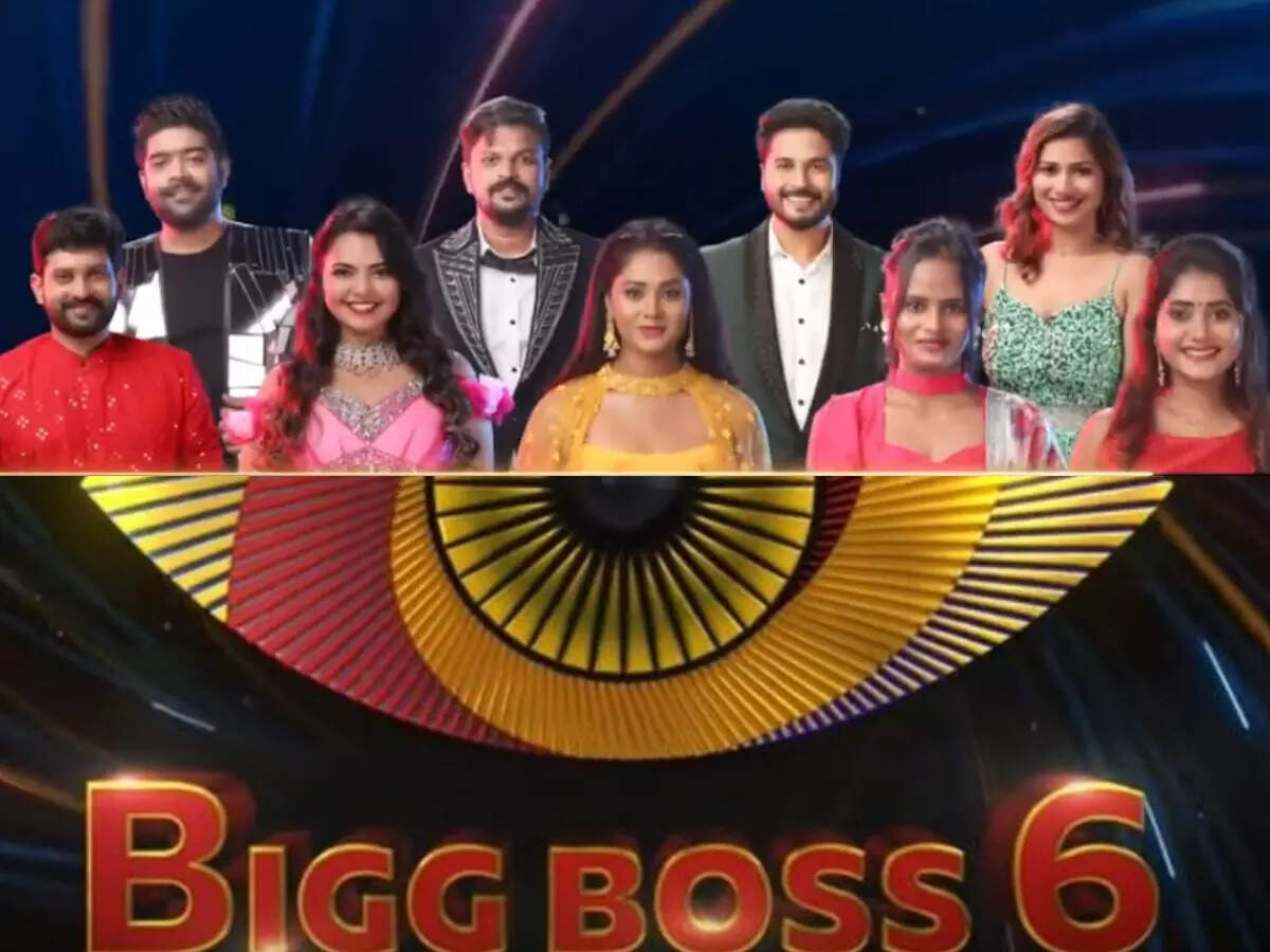 Bigg Boss 6 Contestants