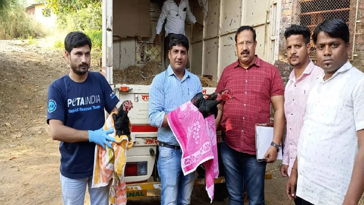 Valap, Navi Mumbai: Map, Property Rates, Projects, Photos, Reviews, Info