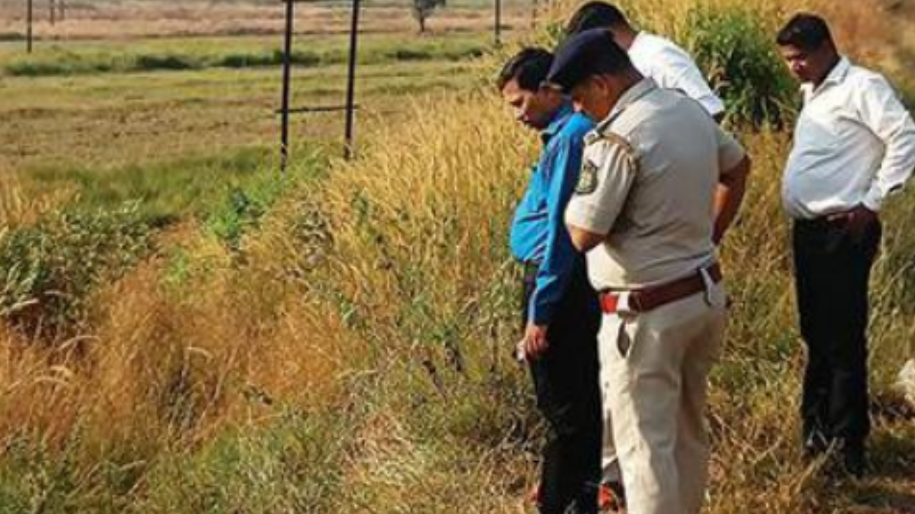 Goa: One held for fish vendor’s murder | Goa News - Times of India