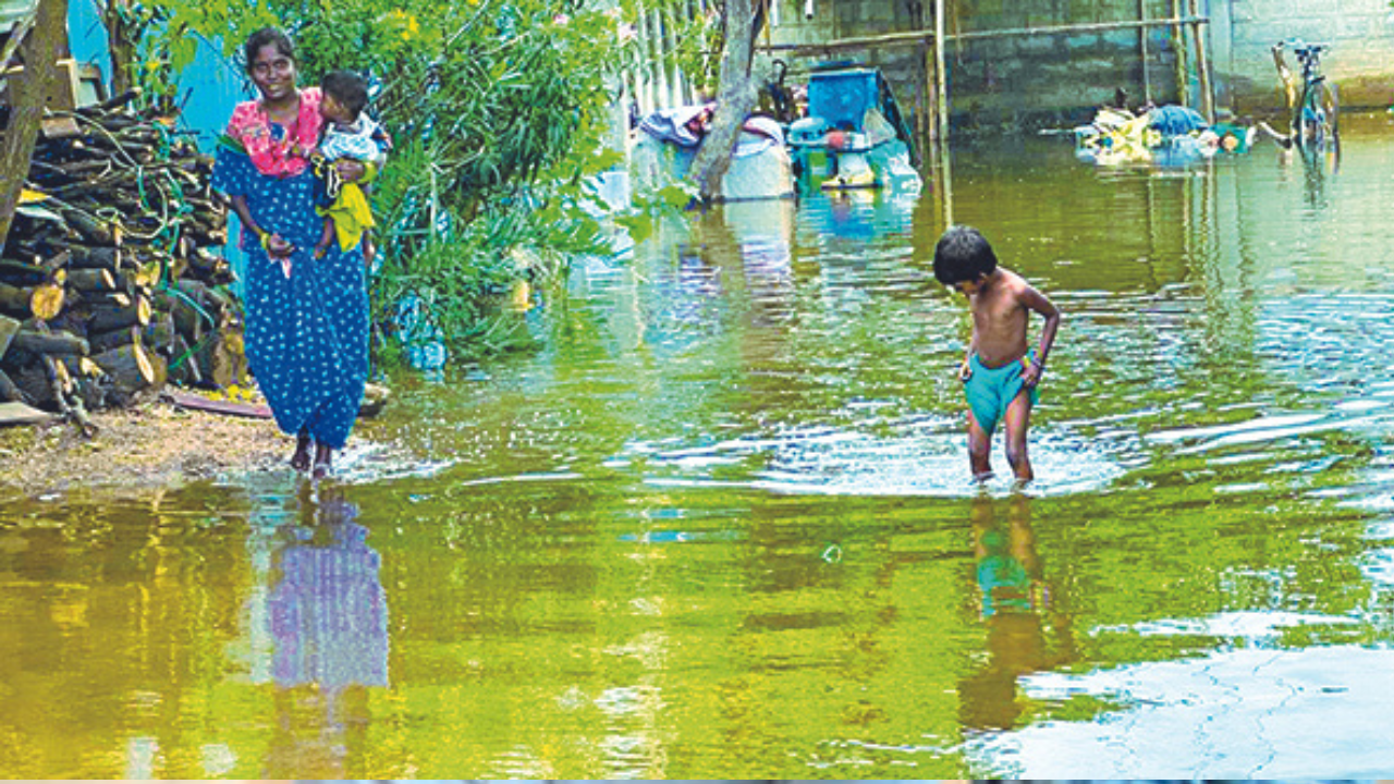 Lic Colony, Madurai: Map, Property Rates, Projects, Photos, Reviews, Info