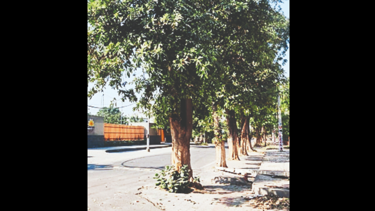 Dugri Dhandra Road, Ludhiana: Map, Property Rates, Projects, Photos ...