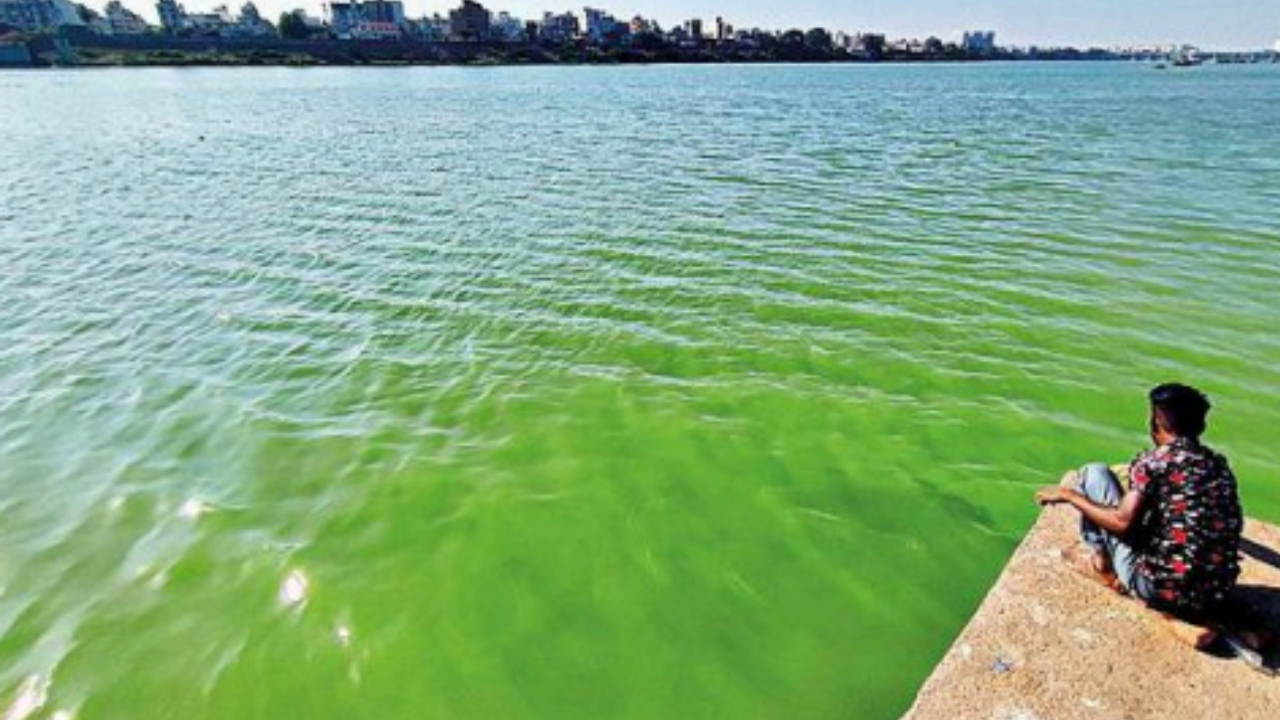 Isanpur, Surat: Map, Property Rates, Projects, Photos, Reviews, Info