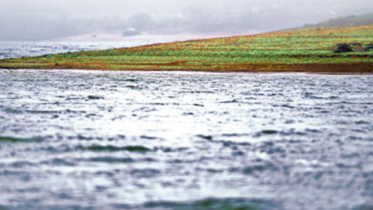 Akoli, Amravati: Map, Property Rates, Projects, Photos, Reviews, Info