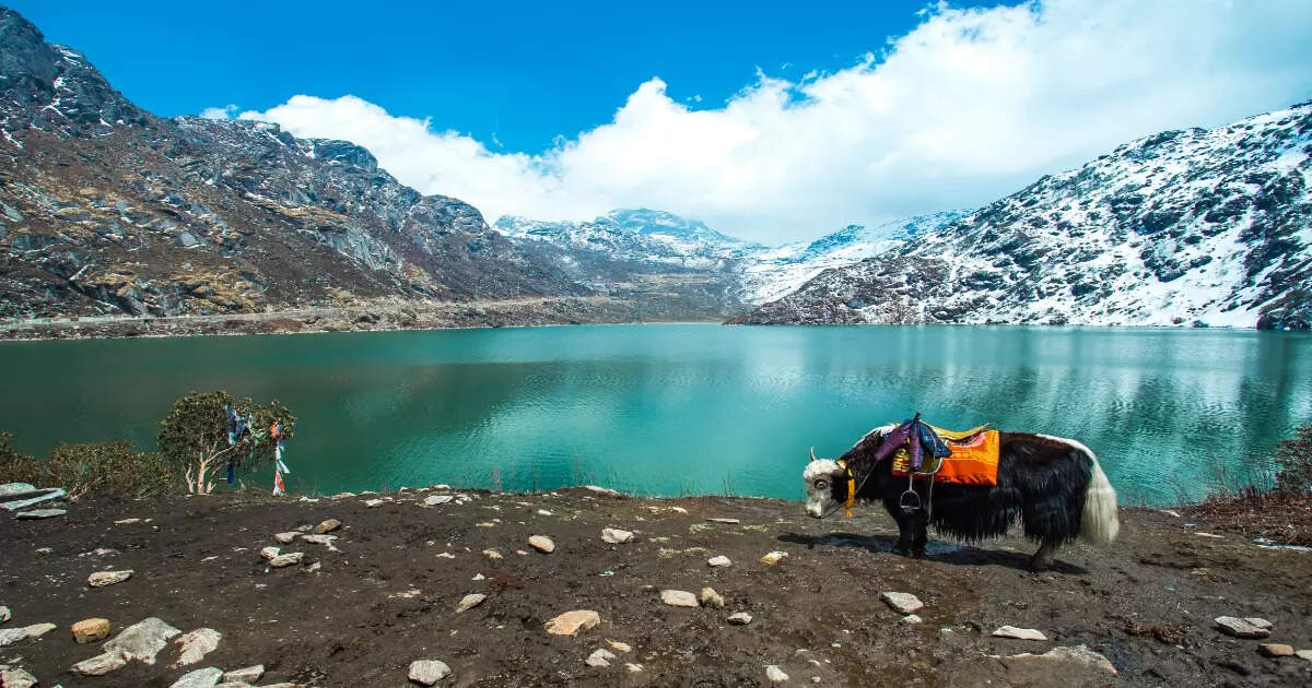 20 beautiful reasons to visit Sikkim | Times of India