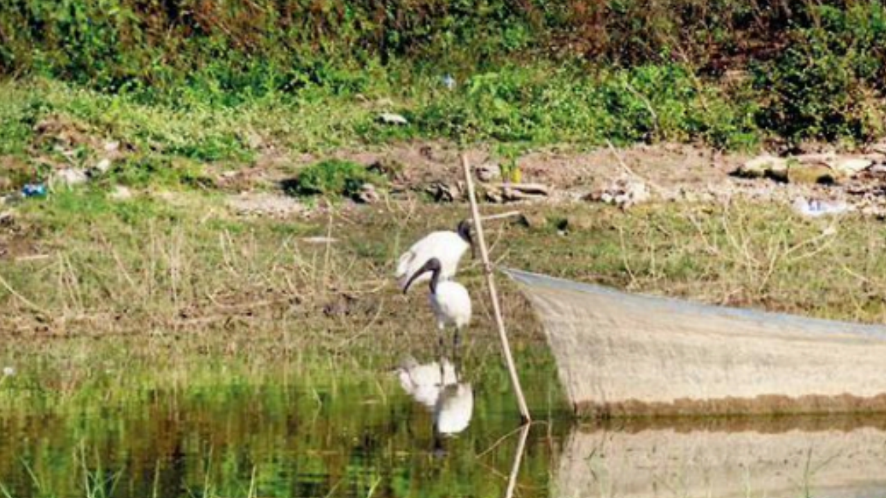 M I D C Waluj, Aurangabad: Map, Property Rates, Projects, Photos ...