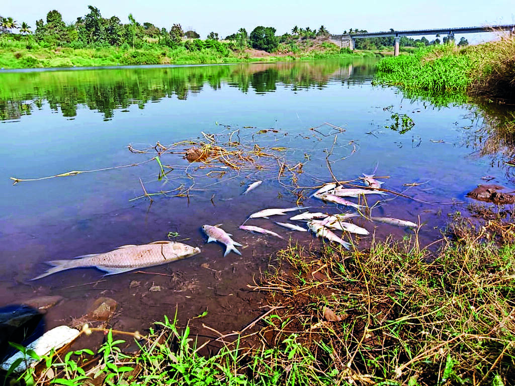 Kasaba Bawada, Kolhapur: Map, Property Rates, Projects, Photos, Reviews ...