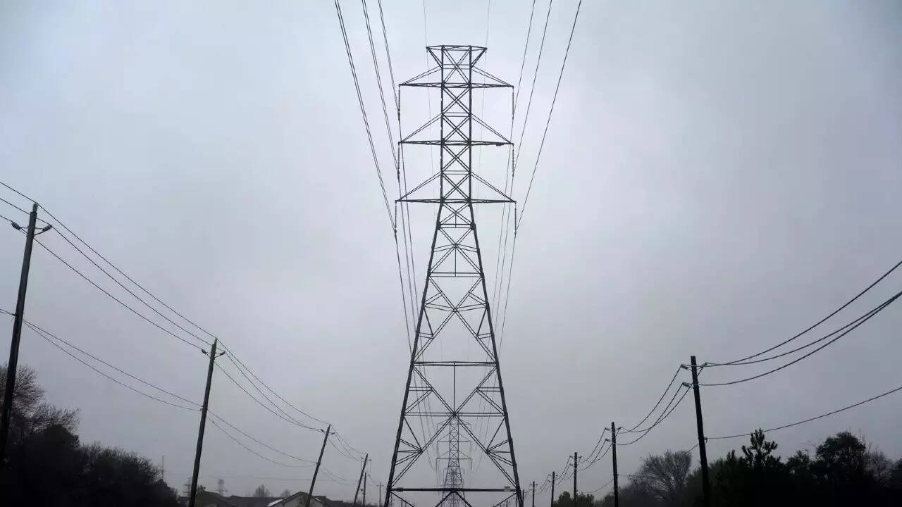 US s Largest Public Utility Names Panel To Study Blackouts 