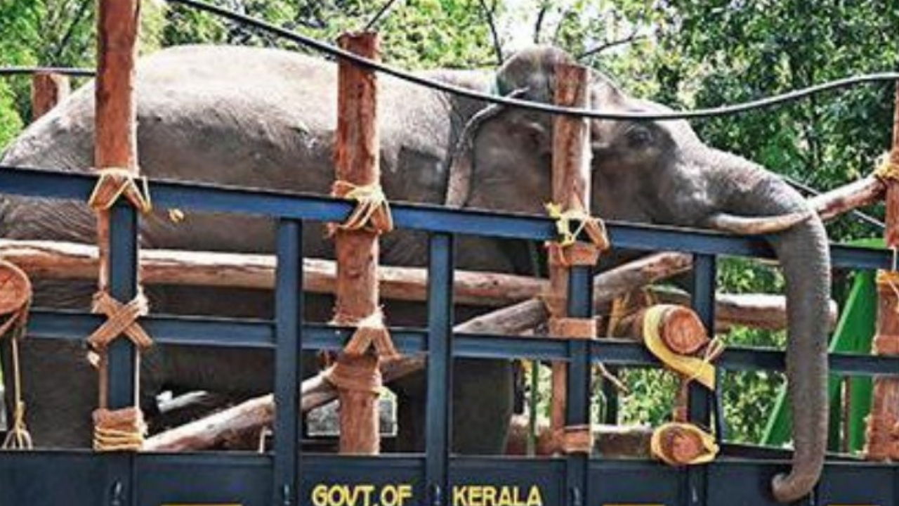 Edavanakkad, Kochi: Map, Property Rates, Projects, Photos, Reviews, Info