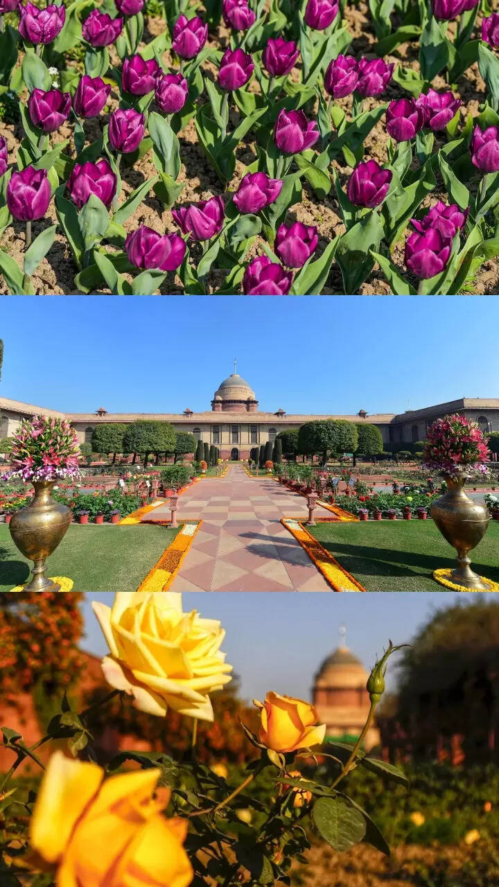 Mukherjee Nagar Burari, New Delhi: Map, Property Rates, Projects ...