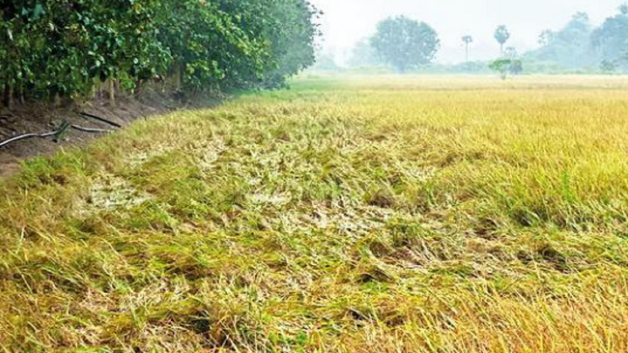 Muthirapalayam, Pondicherry: Map, Property Rates, Projects, Photos ...