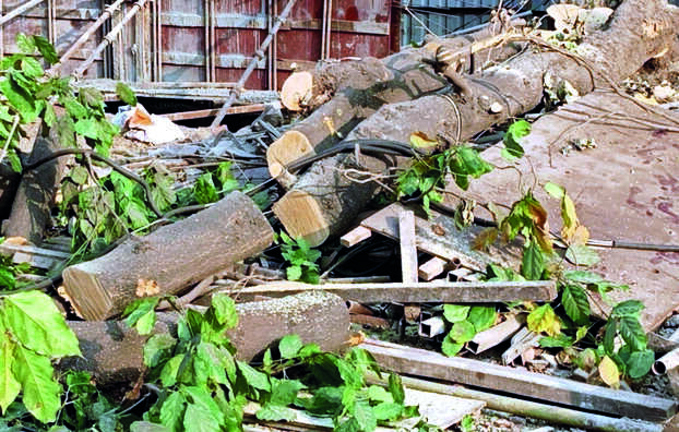 Sector 27 Kharghar, Navi Mumbai: Map, Property Rates, Projects, Photos ...