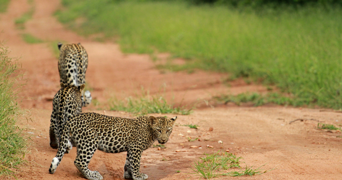 India's biggest national parks & wildlife reserves | Times of India