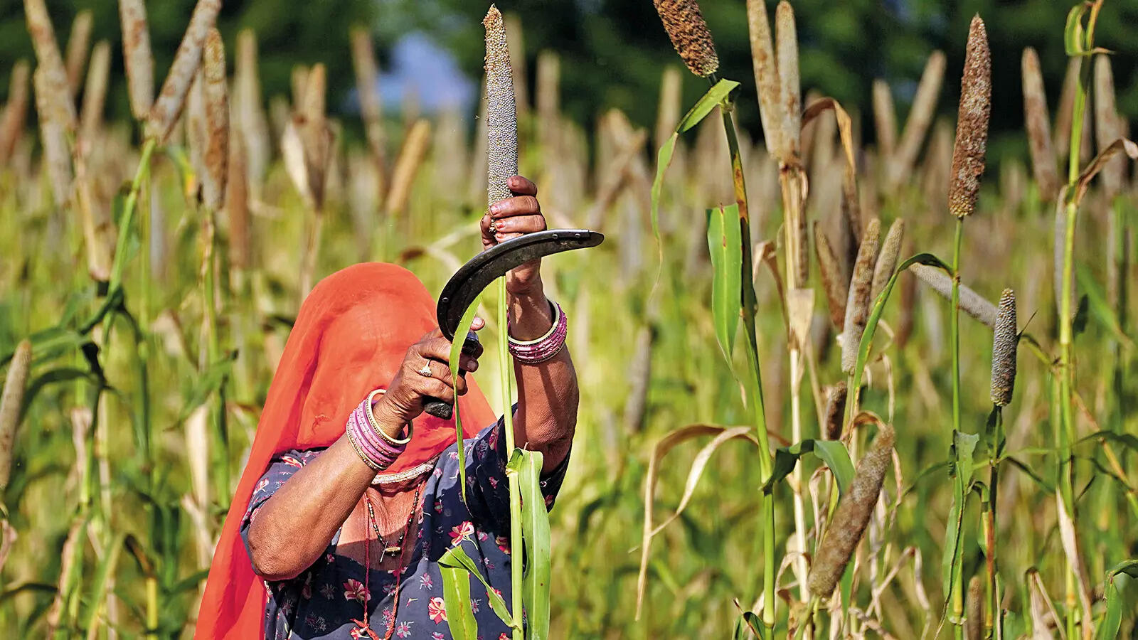 Shirwal, Satara: Map, Property Rates, Projects, Photos, Reviews, Info