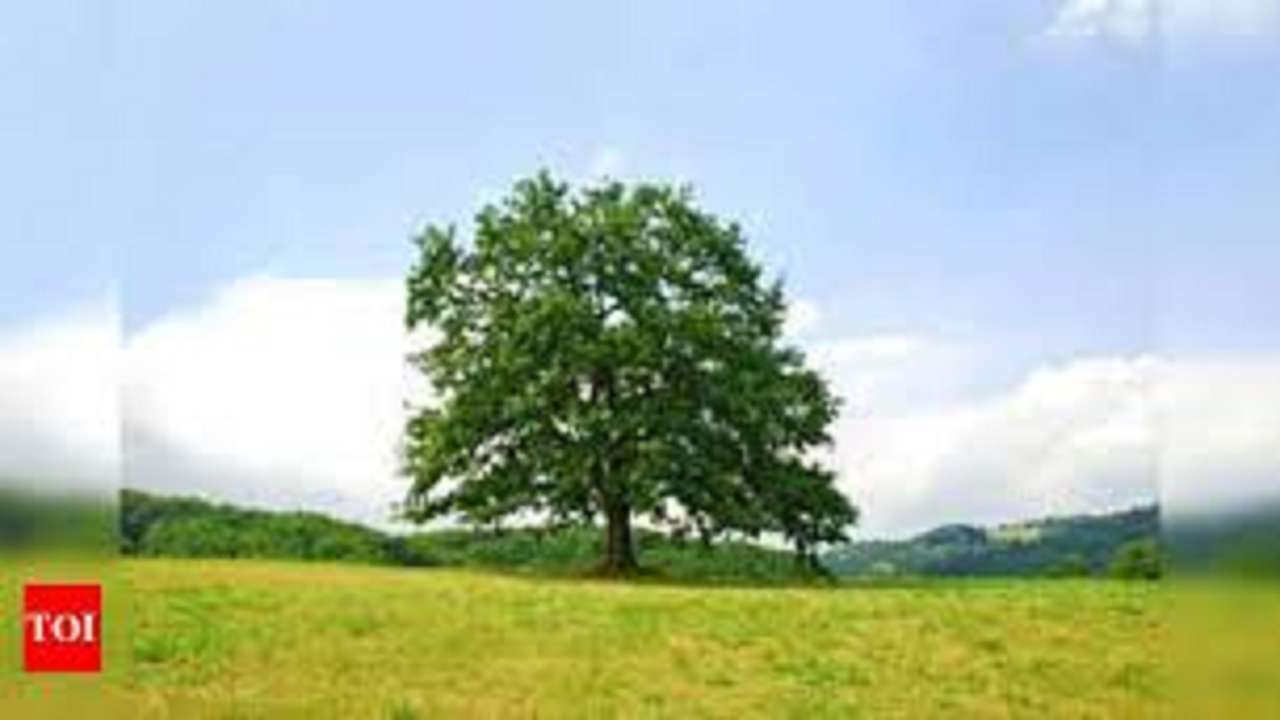 Wadachi Wadi, Pune: Map, Property Rates, Projects, Photos, Reviews, Info