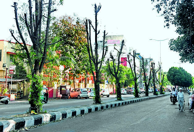 Patrakar Colony, Vadodara: Map, Property Rates, Projects, Photos ...