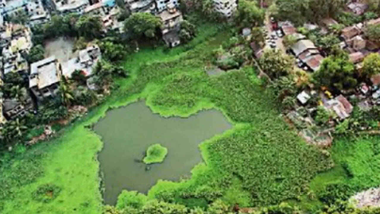 Pilkhana, Kolkata: Map, Property Rates, Projects, Photos, Reviews, Info