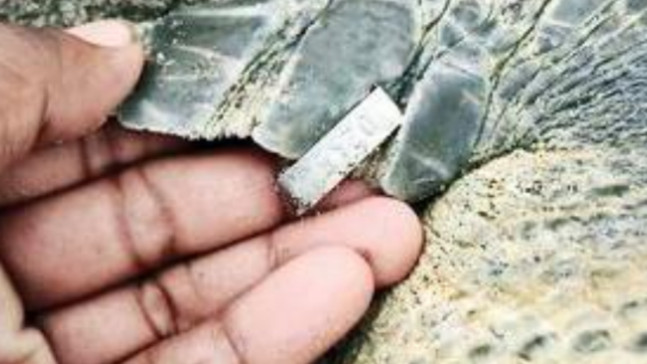 Badambadi, Bhubaneswar: Map, Property Rates, Projects, Photos, Reviews ...