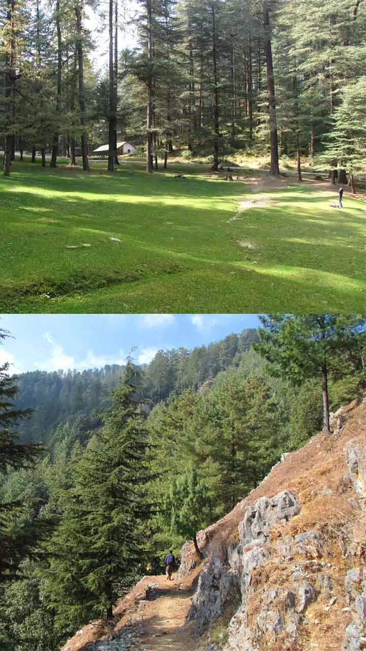 Devlok Colony, Dehradun: Map, Property Rates, Projects, Photos, Reviews ...