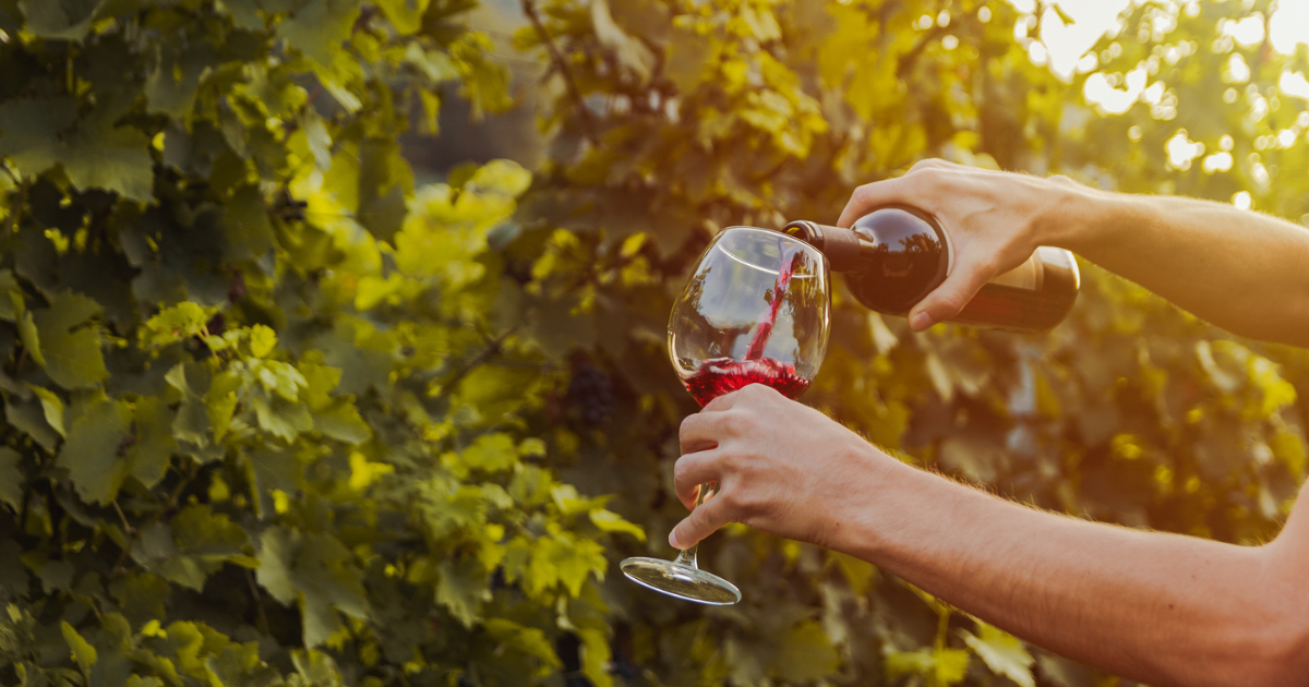 Vineyards in India that wine lovers must explore | Times of India
